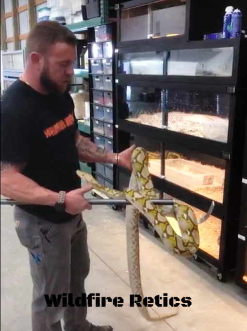 Drag Hooks - Large — Venom Life Gear